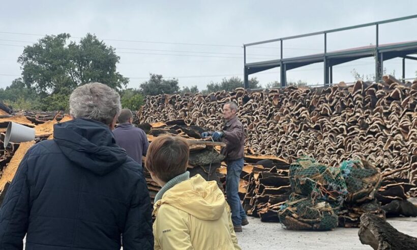 Evora, Winery & Cork Factory: Full-day Private Transport - Final Thoughts