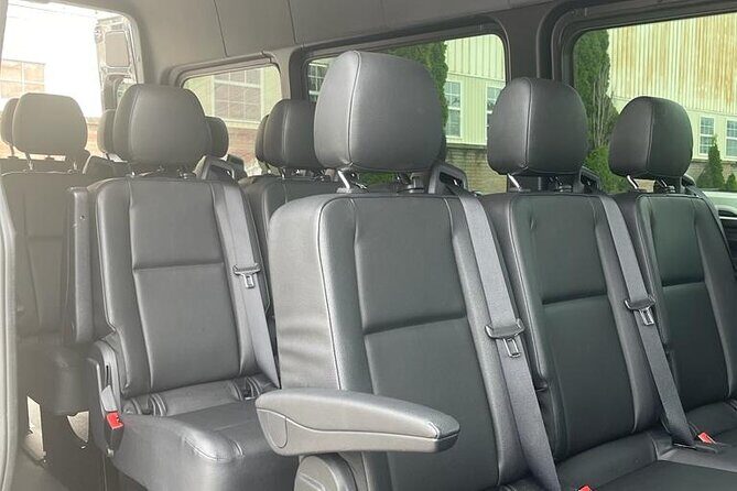 EWR/Manhattan Airport Transfer in Luxury Van-One Way Transfer. - Vehicle & Comfort: What You Really Get