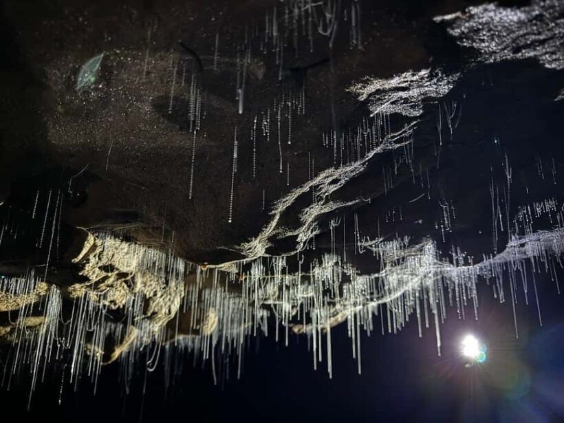 Ex Auckland Spellbound Glowworm & Cave Explorer Private Tour - Discovering the Magic of the Ex Auckland Spellbound Glowworm & Cave Explorer Private Tour