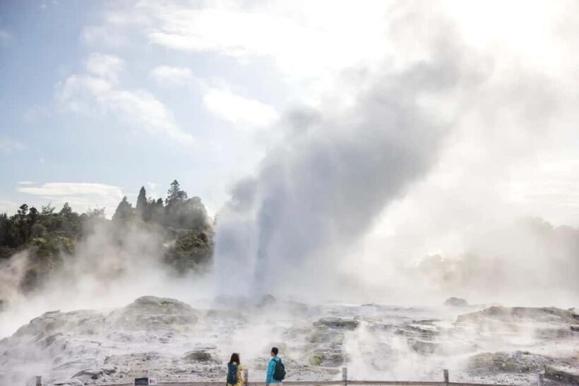 Ex Auckland: TE PUIA Geothermal, Redwood & Blue Springs - What Sets This Tour Apart