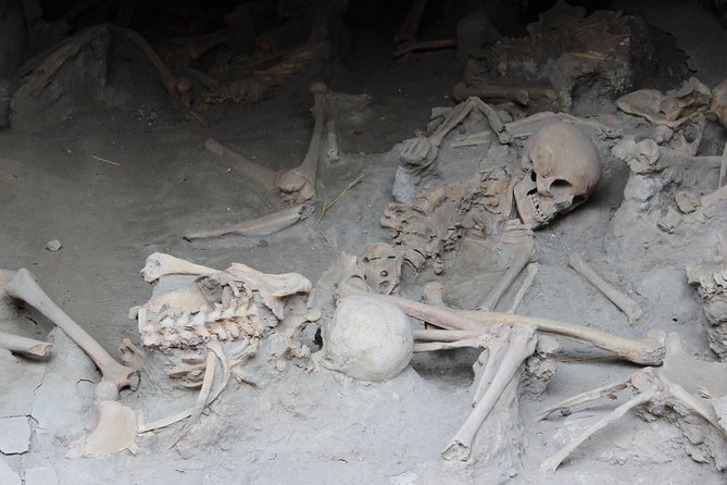 Excavations of Herculaneum. Tour guide and skip-the-line ticket - Who Should Consider This Tour?