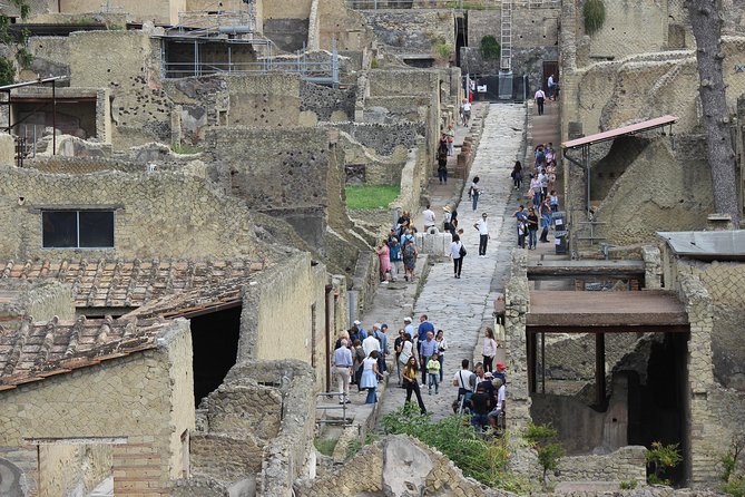 Excavations of Herculaneum. Tour guide and skip-the-line ticket - FAQs