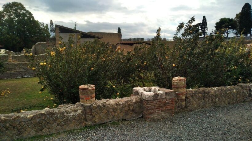 Excellent Herculaneum Guided tour with a Licensed Guide.. - FAQ