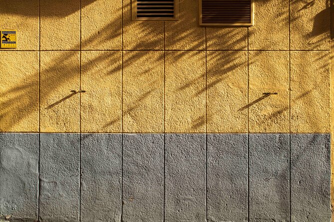 Excellent Private Photography Walking Tour & Workshop in Valencia - Capturing the Essence of Valencia