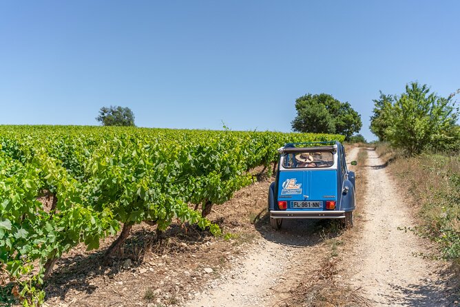 Exceptional 2hp Excursion in the Luberon (8h) - Itinerary and Scheduled Activities