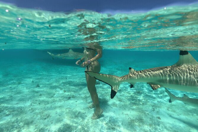 Exceptional Half day on the turquoise lagoon of Bora Bora - FAQ