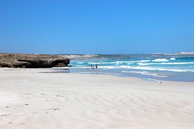 Exceptional Port Lincoln, Seafood and Wildlife Tour - FAQ