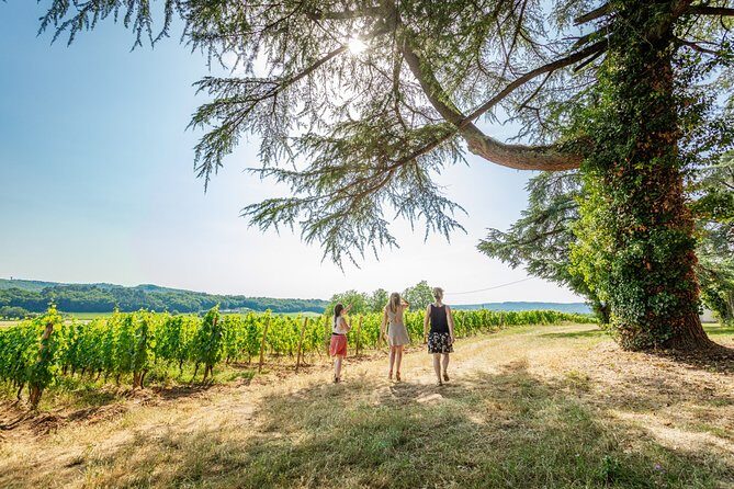 Exceptional visit and tasting of 7 wines - Key Points