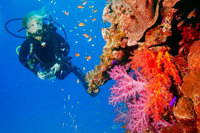 Exciteful Scuba Diving Experience in Antalya - An Honest Look at the Experience: Pros and Cons