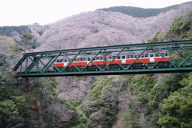 Exciting Hakone - One Day Tour From Tokyo - Transportation and Itinerary