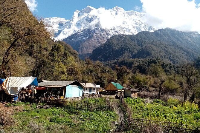 Exciting Kaupche Glacier Lake Very Short Trek from Pokhara Nepal - Practical Details and What to Expect