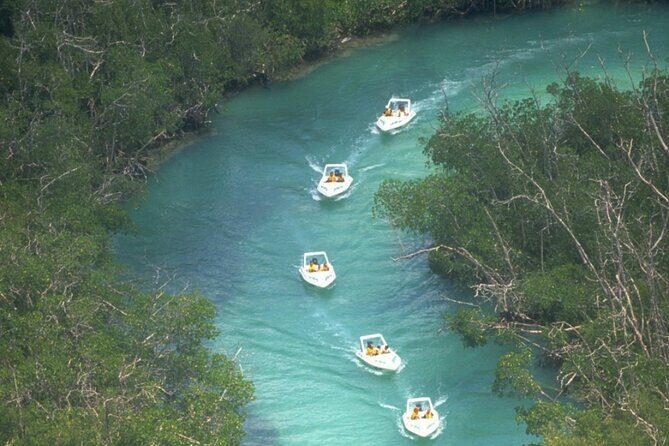 Exciting Speedboat & Snorkeling Tour in Cancun Lagoon! - Navigating Nichupte Lagoon and the Mangroves