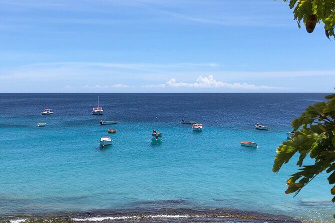 Exclusive 4 -Hour Private nature Tour: West Curacao's Best - What Could Be Better?