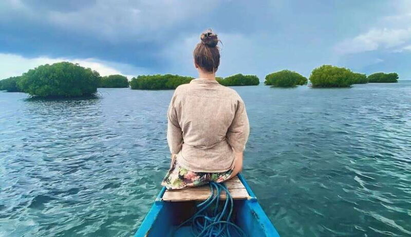 Exclusive 4 Secret Gilis: Petagan, Bidara, Kapal, and Kondo - Introduction