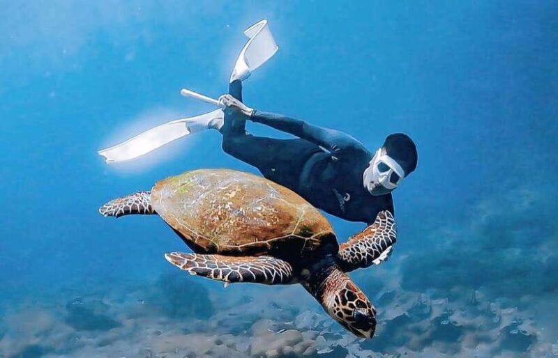 Exclusive 4 Secret Gilis: Petagan, Bidara, Kapal, and Kondo - Authentic Experiences That Matter