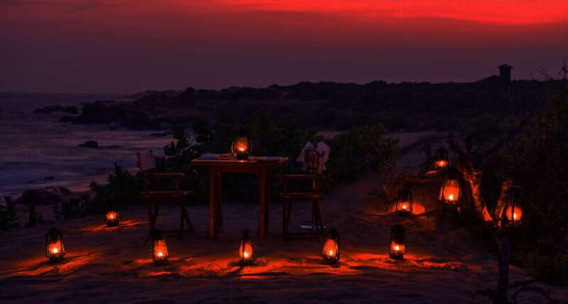 Exclusive : Afternoon Yala Safari with Beach BBQ Dinner - Key Points
