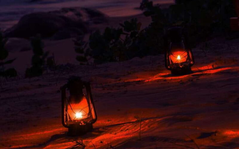 Exclusive : Afternoon Yala Safari with Beach BBQ Dinner - Final thoughts