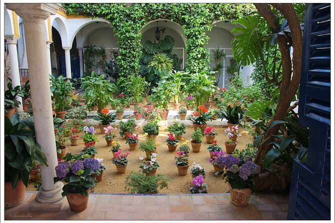 Exclusive Alcazar with breakfast or afternoon coffee in gardens - Authentic Experiences and Visitor Feedback