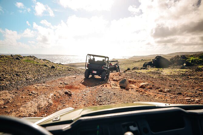 Exclusive Aruba UTV Rentals - Practical Details and Tips for Travelers
