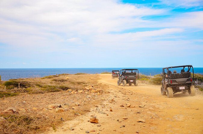 Exclusive Aruba UTV Rentals - Who Should Consider This Experience?