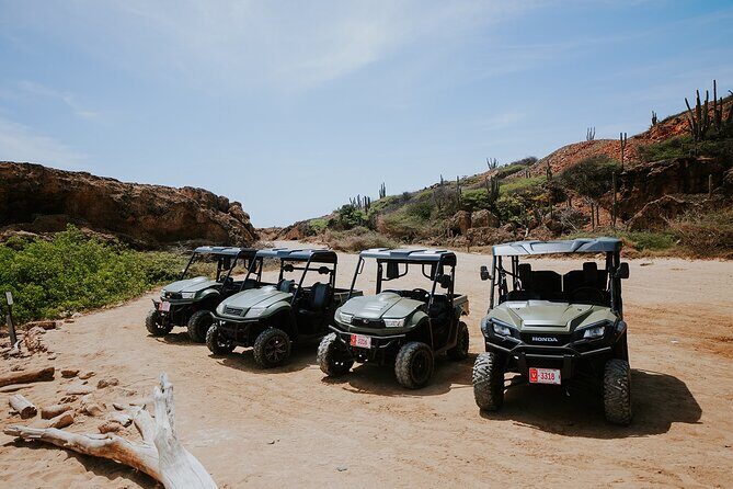 Exclusive Aruba UTV Rentals - The Sum Up