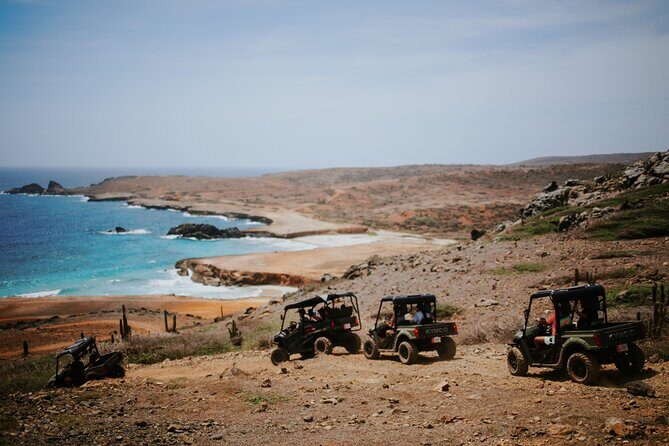 Exclusive Aruba UTV Tours - Key Points