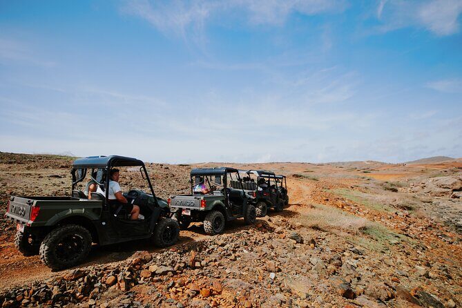 Exclusive Aruba UTV Tours - Practical Information & Considerations