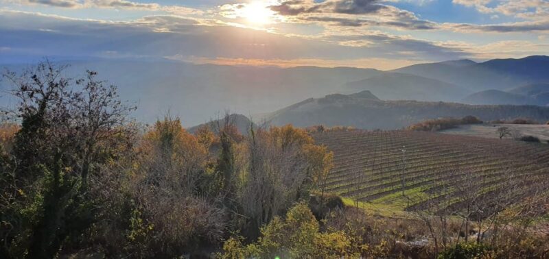 Exclusive Assisi and Sagrantino di Montefalco Wines - Key Points