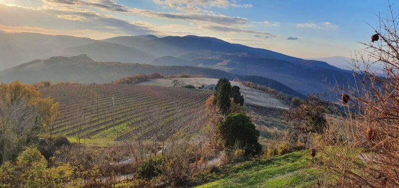 Exclusive Assisi and Sagrantino di Montefalco Wines - Final Thoughts