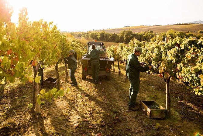 Exclusive Assisi & Sagrantino di Montefalco Wines from Florence - Key Points