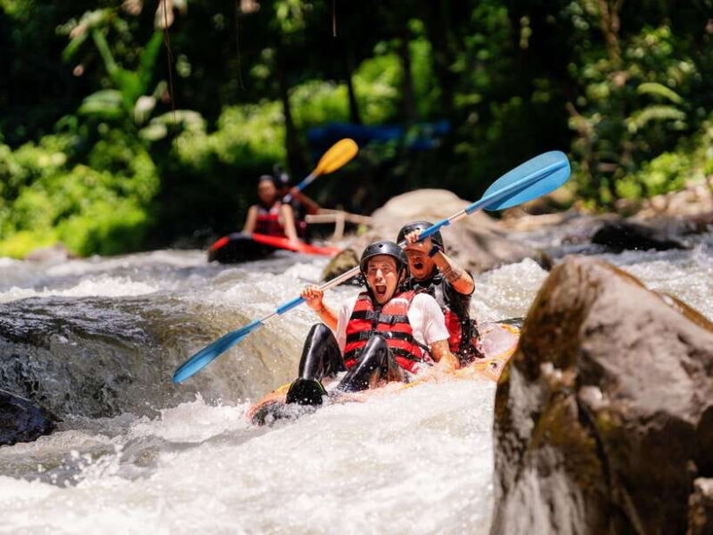 Exclusive Ayung River Kayaking Adventure in Ubud - A Detailed Look at the Itinerary