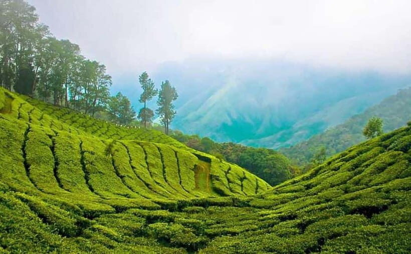 Exclusive, Backwater of Kerala & Houseboat Tour (06 Days) - Who Should Consider This Tour?