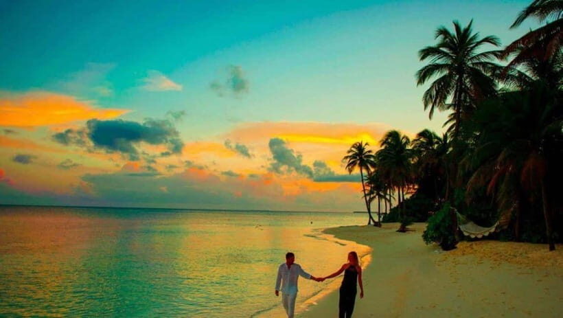 Exclusive, Backwater of Kerala & Houseboat Tour (06 Days) - FAQs