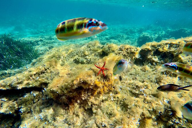 Exclusive Boat Tour Max 9 People Tropea Capo Vatican - Booking Information
