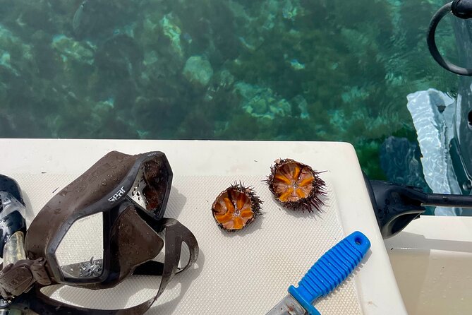 Exclusive Boat Tour Max 9 People Tropea Capo Vatican - Must-Do Experience in Tropea