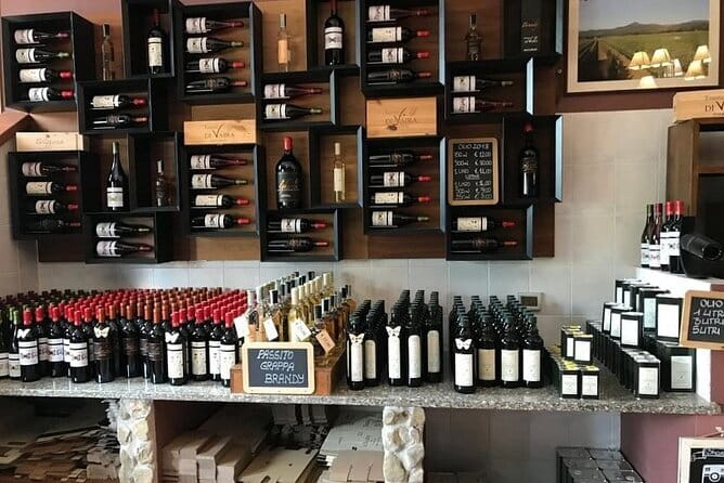 Exclusive Bolgheri from Florence: The Land of the Super Tuscan - The Wineries: Campo Alla Sughera & Tenuta Podere Grattamacco