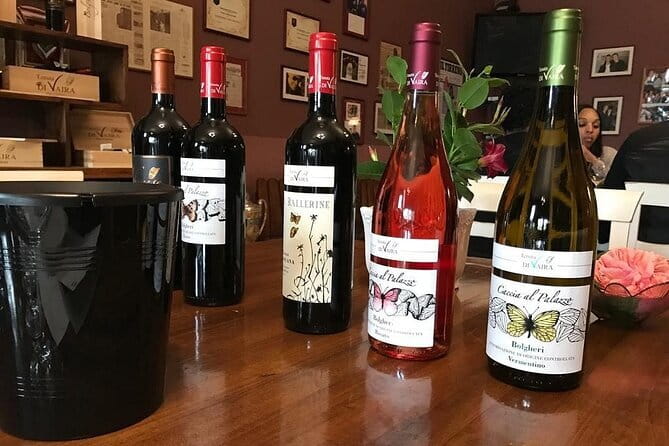 Exclusive Bolgheri from Florence: The Land of the Super Tuscan - Who Should Consider This Tour?