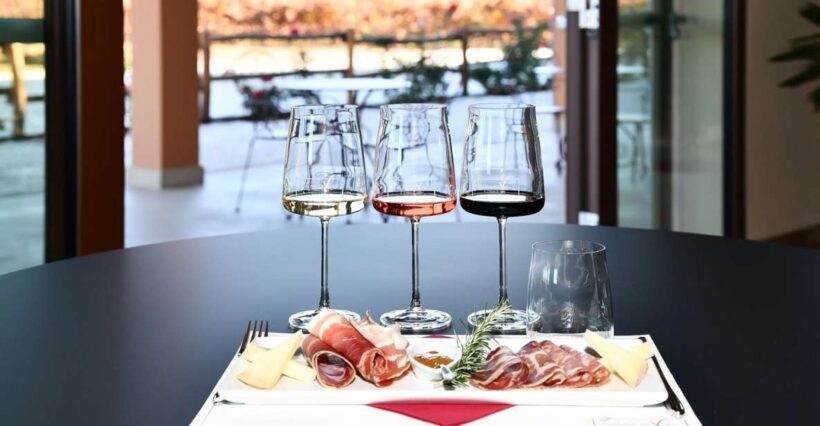 Exclusive Bolgheri Full-Day Wine Tour from Florence - What Makes This Tour Stand Out?