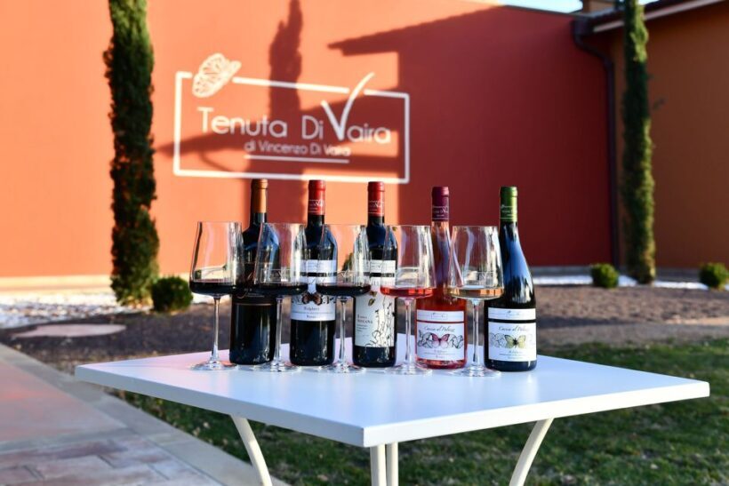Exclusive Bolgheri Full-Day Wine Tour from Florence - The Lunch Experience and Additional Tastings