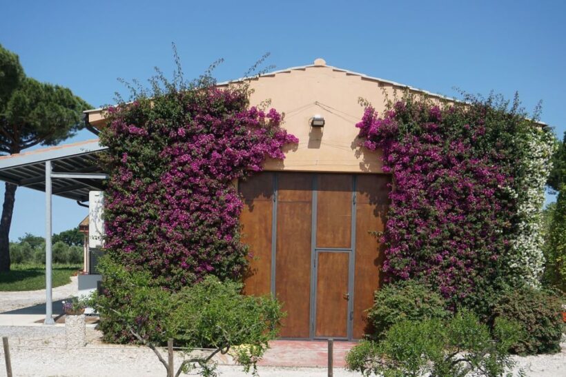 Exclusive Bolgheri Full-Day Wine Tour from Florence - Final Thoughts