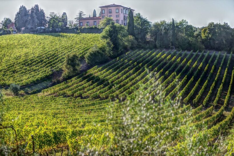 Exclusive Bolgheri Full-Day Wine Tour from Florence - FAQs