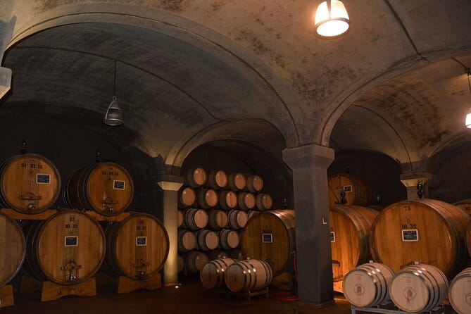 Exclusive Brunello di Montalcino tour from Florence - Introduction