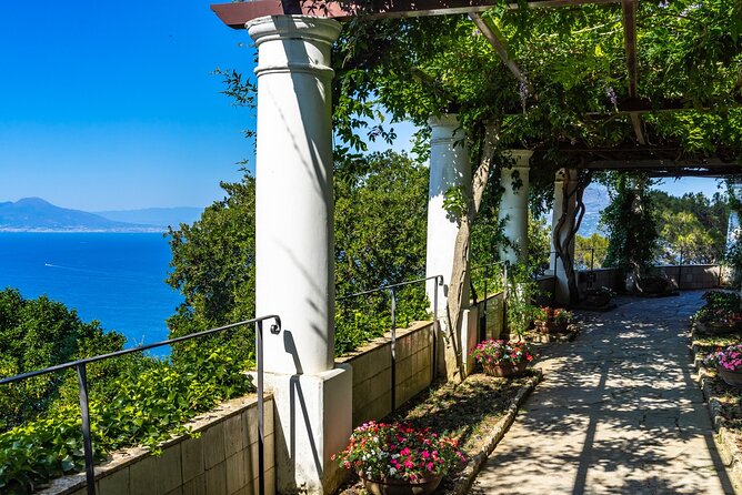 Exclusive Capri, Anacapri & Blue Grotto Private Tour From Naples - Customer Reviews