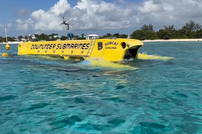 Exclusive Cayman Underwater Adventure: Yellow Submarine Cayman - Final Thoughts on Value and Suitability