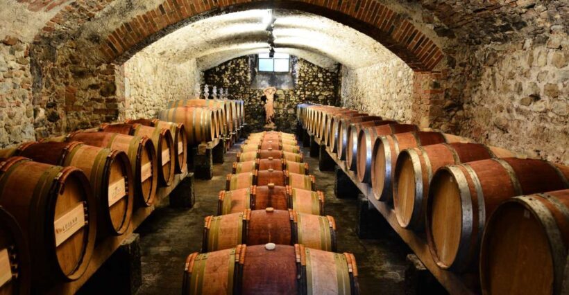 Exclusive Chianti Classico Day Trip from Florence - Practicalities and Considerations
