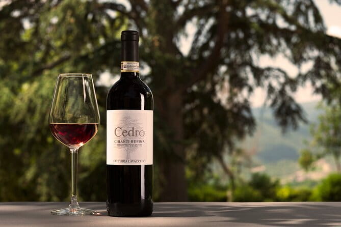 Exclusive Chianti Rufina Half Day Tour with Lunch from Florence - Who Should Book This Tour?