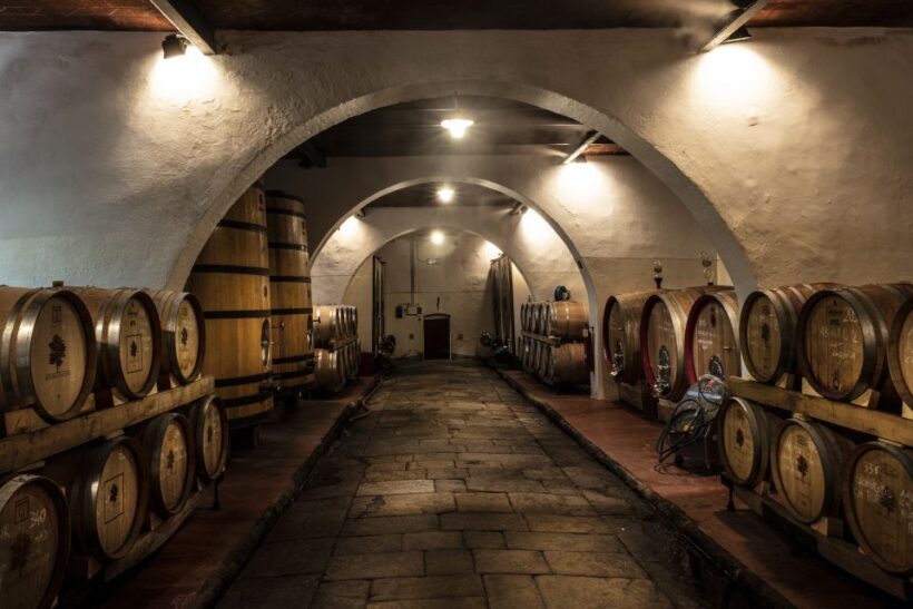 Exclusive Chianti Rufina Half-Day with lunch from Florence - A Deep Dive into the Tour Experience