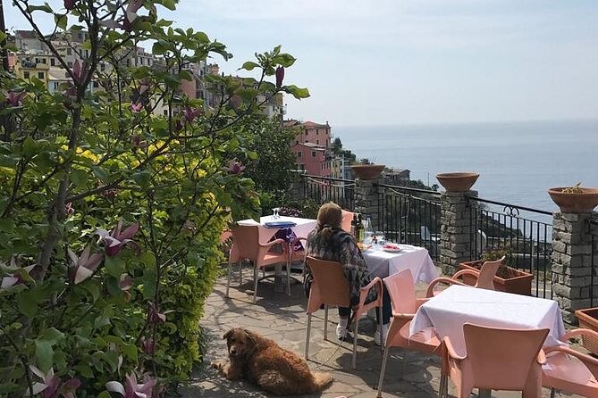Exclusive Cinque Terre by Ferry With Stop in Pisa From Florence - Scenic Views and Picturesque Villages