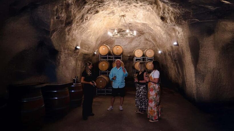 Exclusive Classic Wine Tour - Practical Details: What You Need to Know