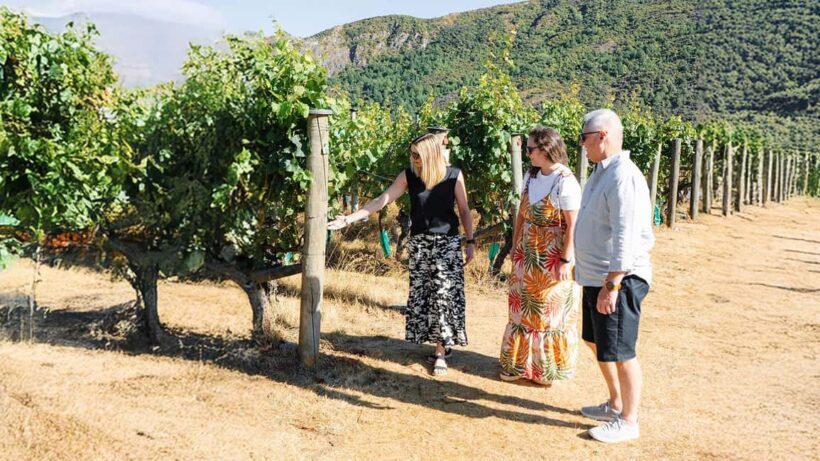 Exclusive Classic Wine Tour - Final Thoughts: Is It Worth It?